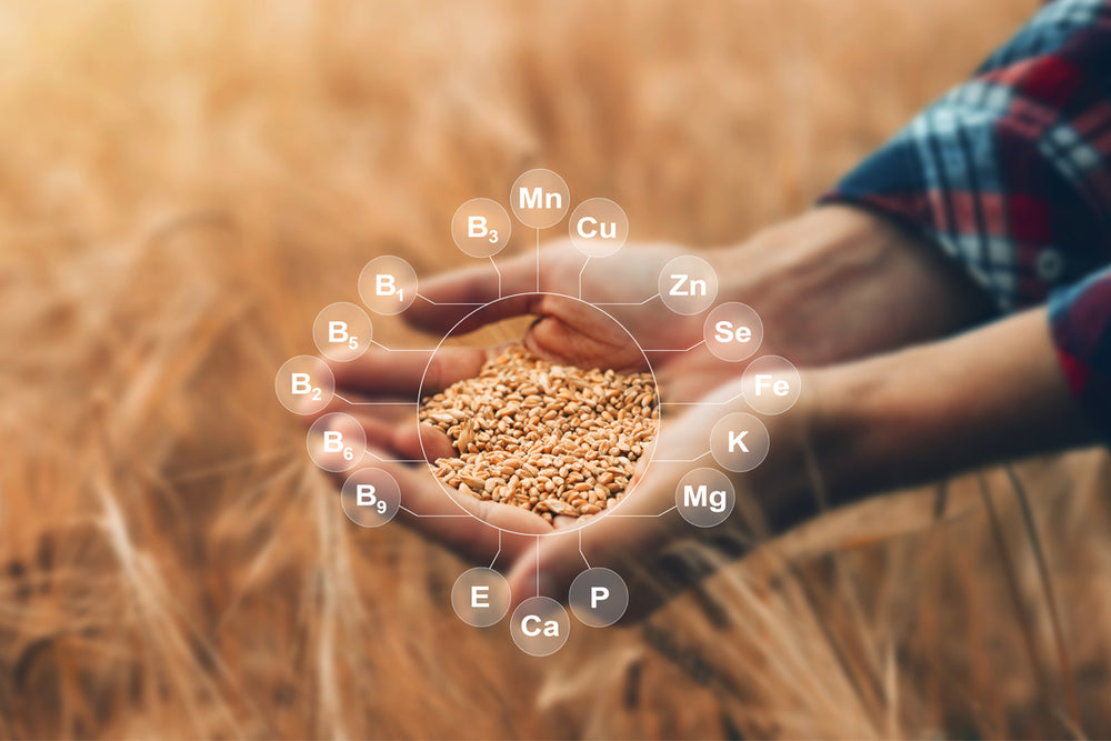 The Hidden Truth Behind Synthetic Additives in Mass-Produced Flour ...